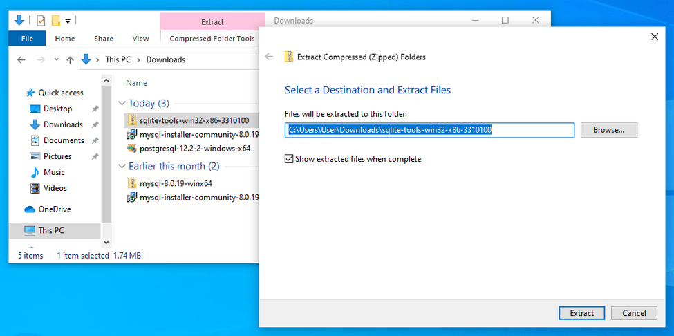Setup and Connect Local Database | SQLite | Prisma's Data Guide