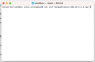How to Install and Set Up a Local MongoDB Database