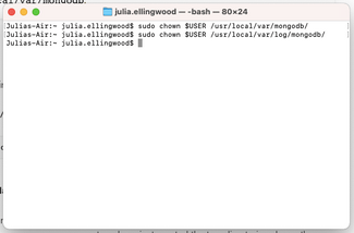 How to Install and Set Up a Local MongoDB Database