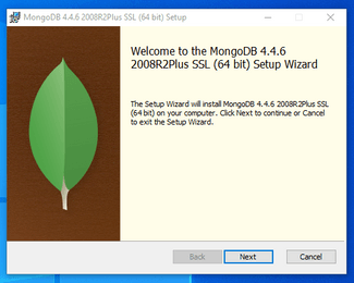 How to Install and Set Up a Local MongoDB Database